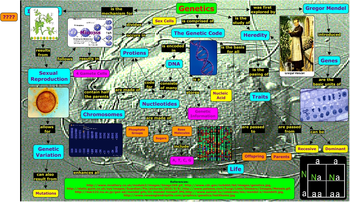 McKenna_CTS 3_Genetics.cmap